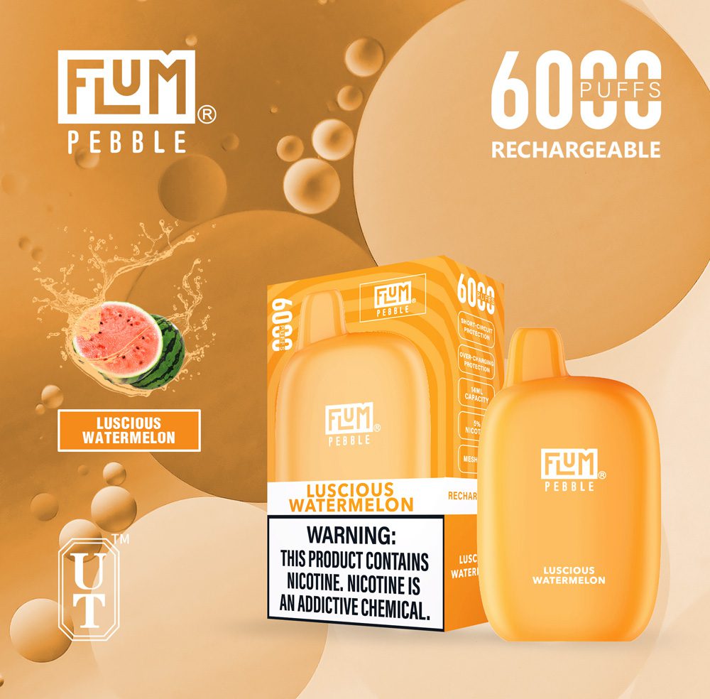 Flum Pebble Disposable | 6000 Puffs - Buy Pods Now