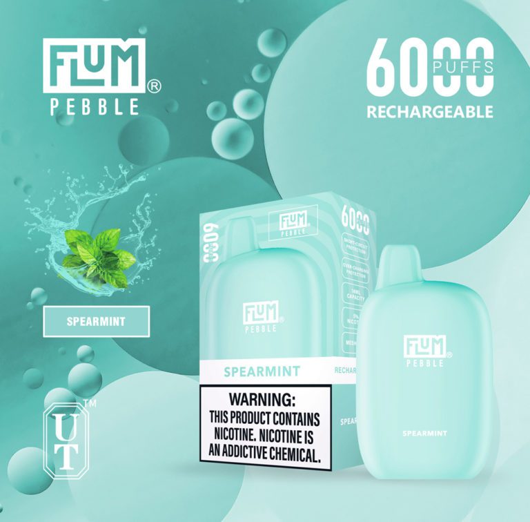 Flum Pebble Disposable | 6000 Puffs - Buy Pods Now